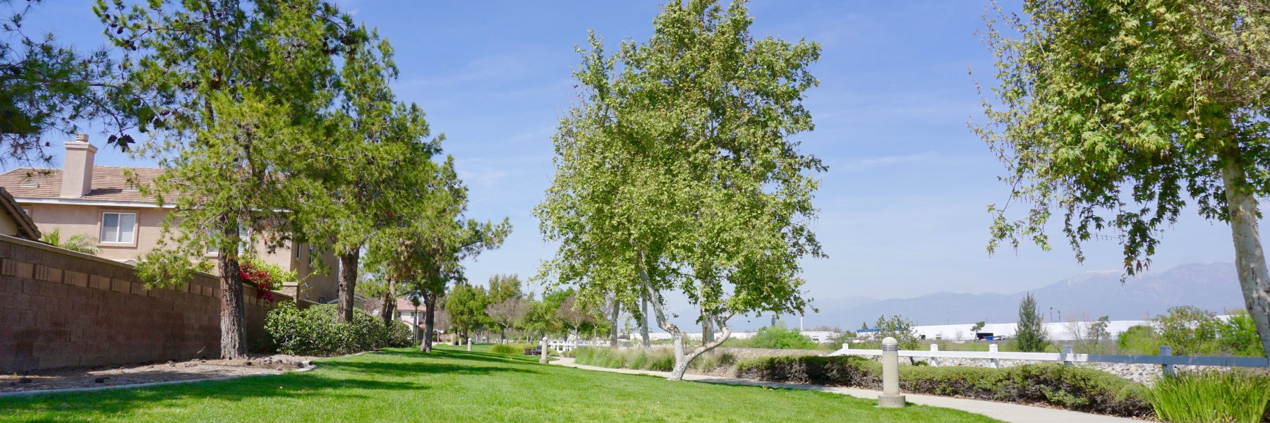 Fairfield Ranch Real Estate Weekly Market Update