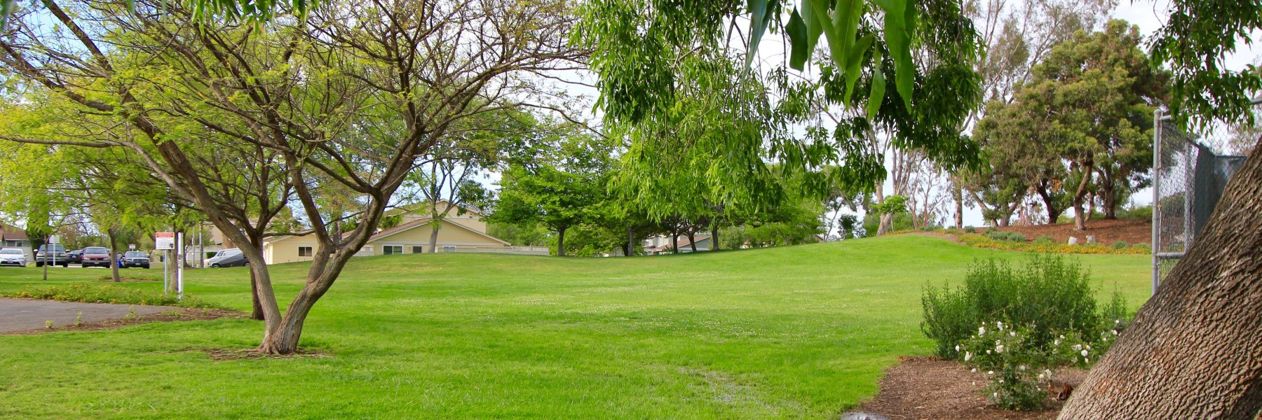 Village Park Encinitas Real Estate Weekly Update