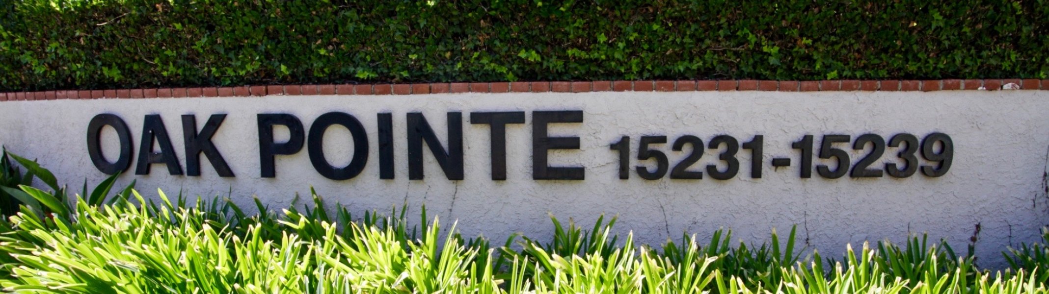 Sherman Oaks Real Estate Weekly Update