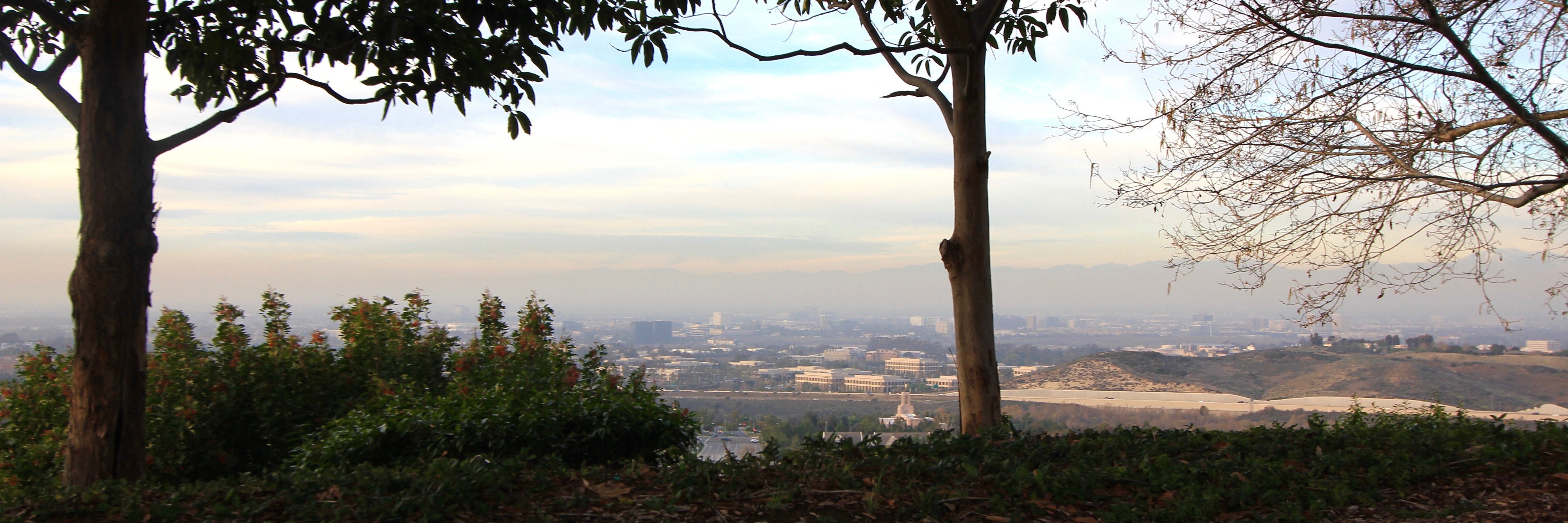 Homes For Sale Harbor Ridge Newport Beach at Stephanie Reynolds blog