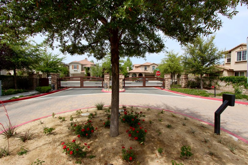 Temecula Lane Community Photos | Temecula Lane, Temecula CA | Temecula ...