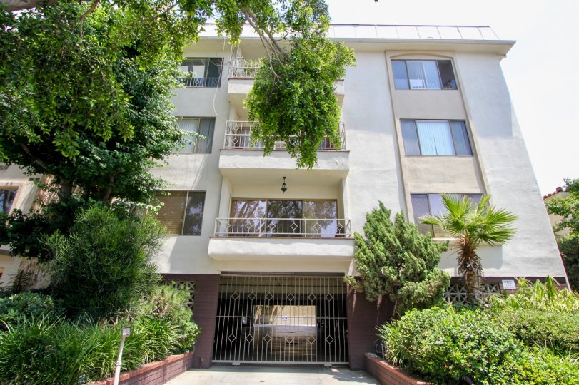 Beverly Holt - Beverly Center CA