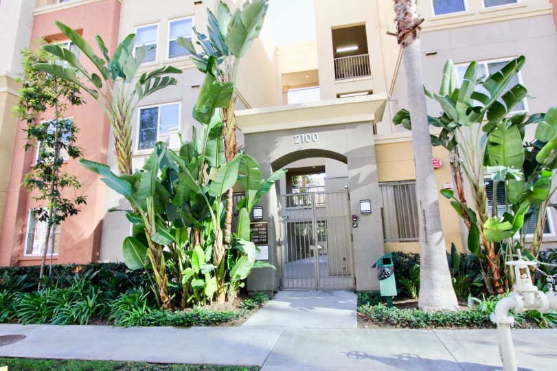 Avenue One - Irvine CA