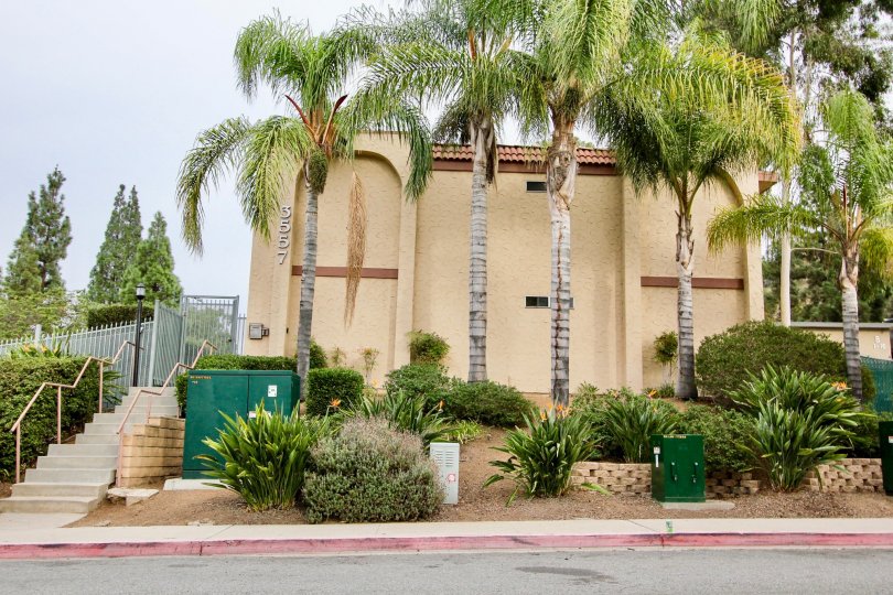 Summertree - Spring Valley CA