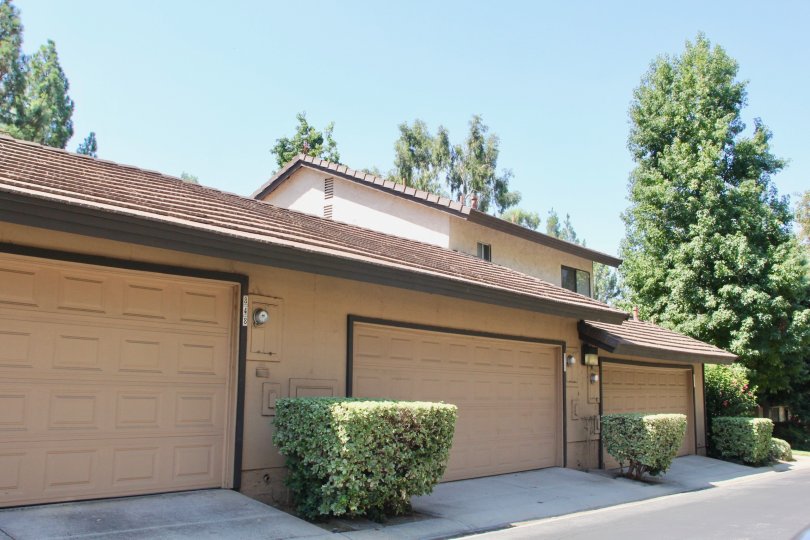 Canyon Tree Condos, Lofts & Townhomes For Sale | Canyon Tree Real ...