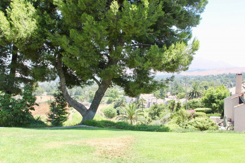 Sunset Ridge Condos, Lofts & Townhomes For Sale | Sunset Ridge Real ...