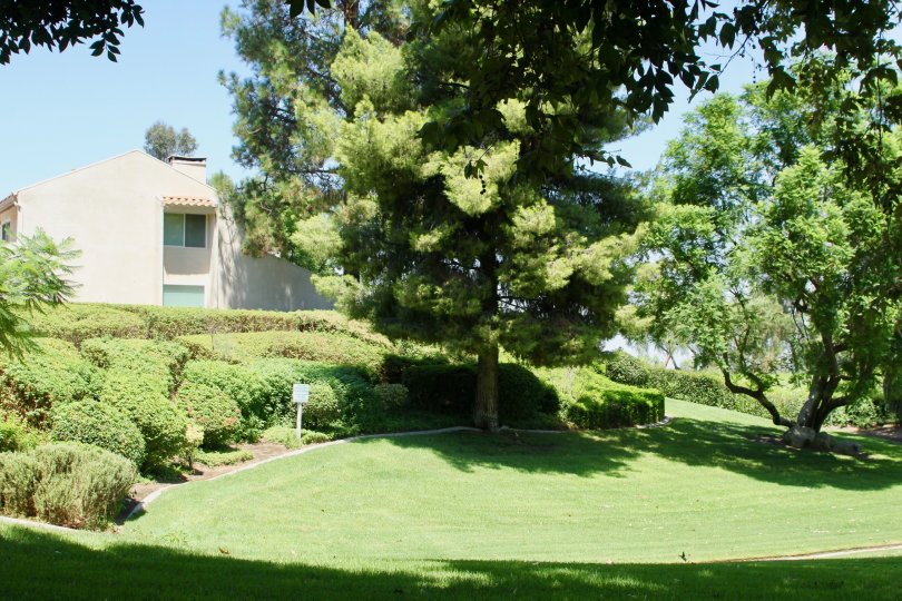 Sunset Ridge Condos, Lofts & Townhomes For Sale | Sunset Ridge Real ...