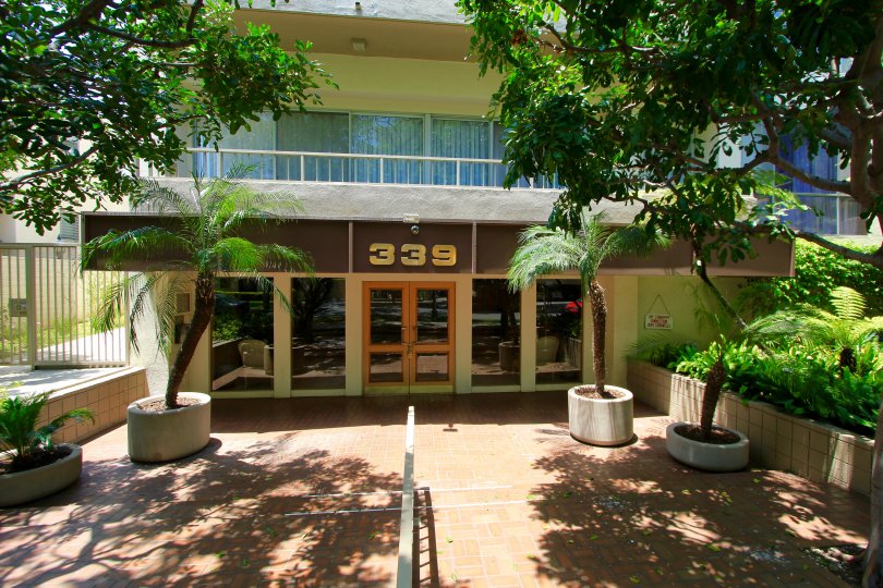 339 N Palm Dr Condos, Lofts & Townhomes For Sale | 339 N Palm Dr Real ...