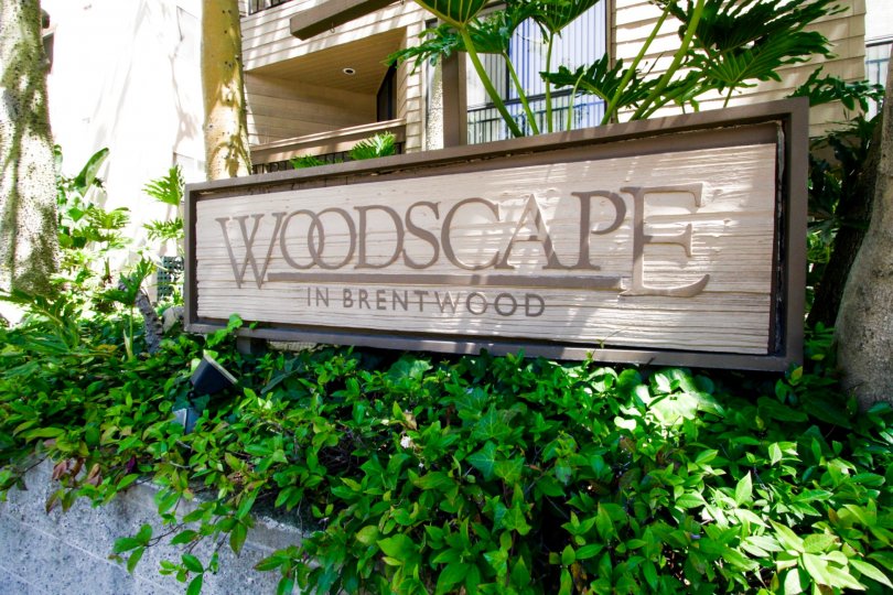 Woodscape Condos, Lofts & Townhomes For Sale | Woodscape Real Estate ...