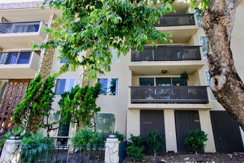 Brentwood Sycamore Condos, Lofts & Townhomes For Sale | Brentwood ...