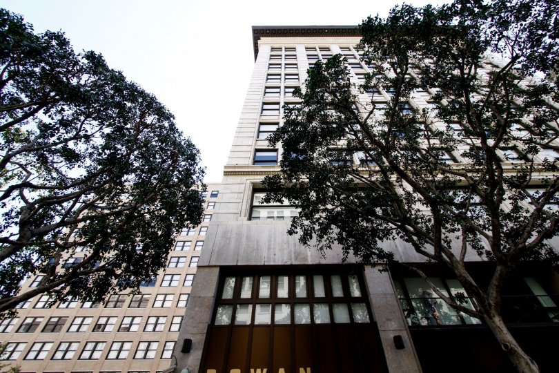 Rowan Lofts Condos, Lofts & Townhomes For Sale | Rowan Lofts Real ...