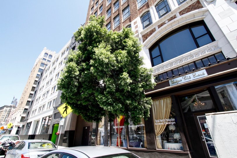 Textile Buildings Condos, Lofts & Townhomes For Sale | Textile ...