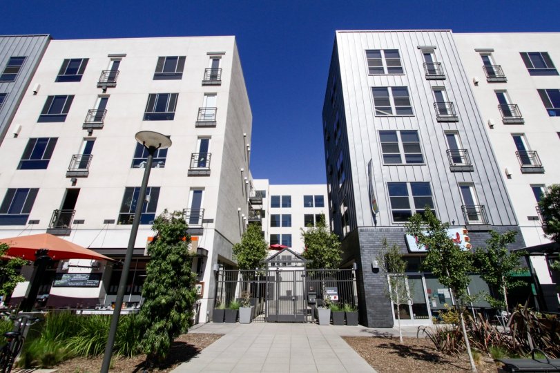 Promenade Walk Condos, Lofts & Townhomes For Sale | Promenade Walk Real ...