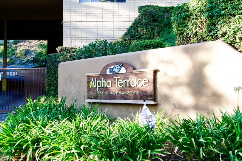 Alpha Terrace Gardens Condos, Lofts & Townhomes For Sale | Alpha ...