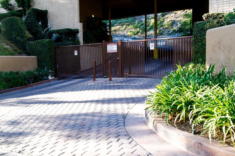 Alpha Terrace Gardens Condos, Lofts & Townhomes For Sale | Alpha ...
