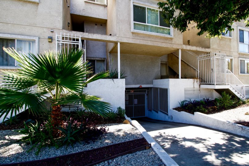 Maple Condos Condos, Lofts & Townhomes For Sale | Maple Condos Real ...