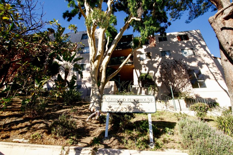 Verdugo Penthouse Condos, Lofts & Townhomes For Sale | Verdugo ...