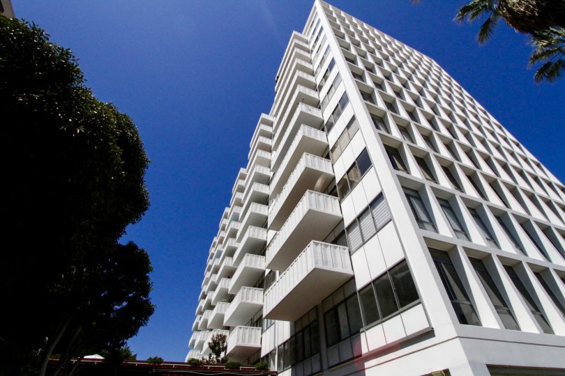 Hollywood Versailles Tower Condos, Lofts & Townhomes For Sale ...