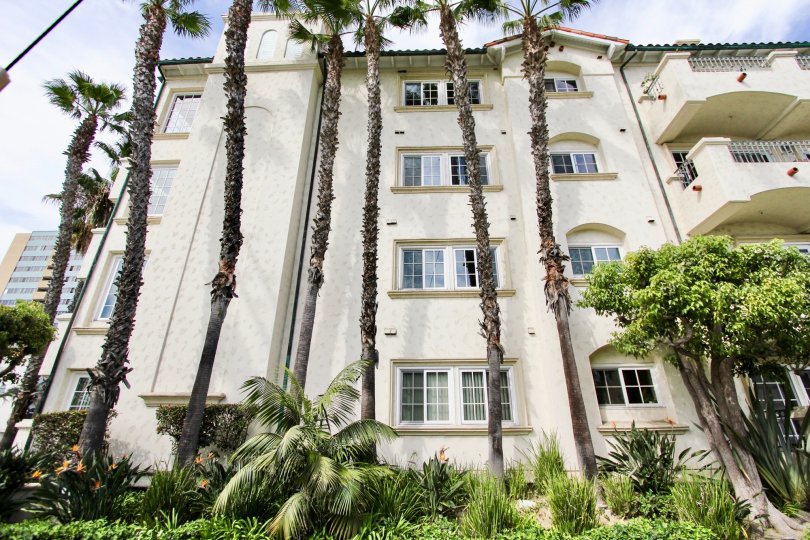Park Regency Condos, Lofts & Townhomes For Sale | Park Regency Real ...