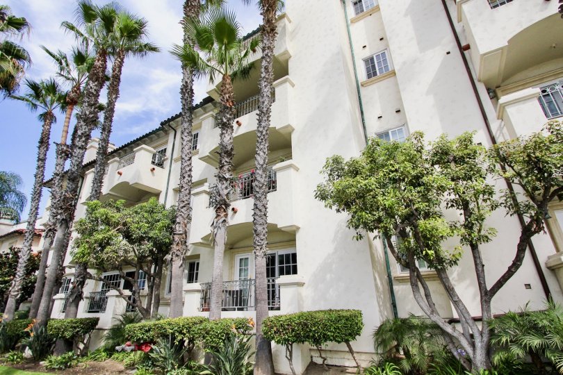 Park Regency Condos, Lofts & Townhomes For Sale | Park Regency Real ...