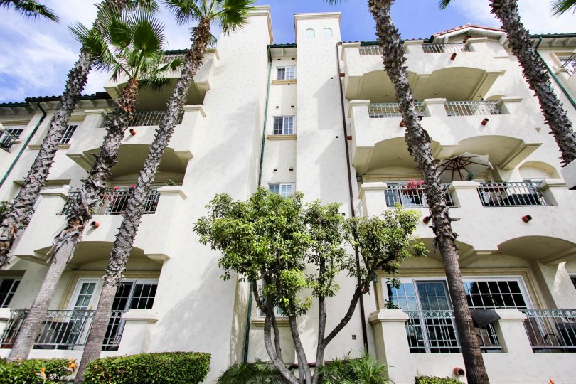 Park Regency Condos, Lofts & Townhomes For Sale | Park Regency Real ...