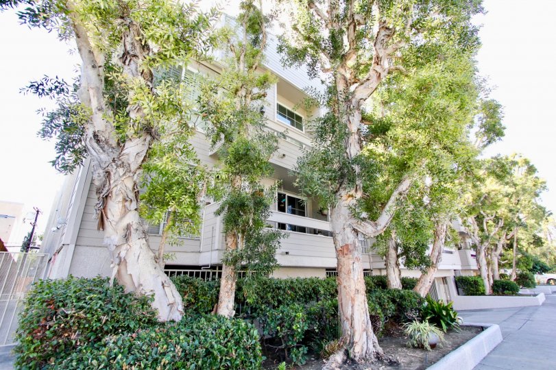 11930 Avon Way Condos, Lofts & Townhomes For Sale | 11930 Avon Way Real ...