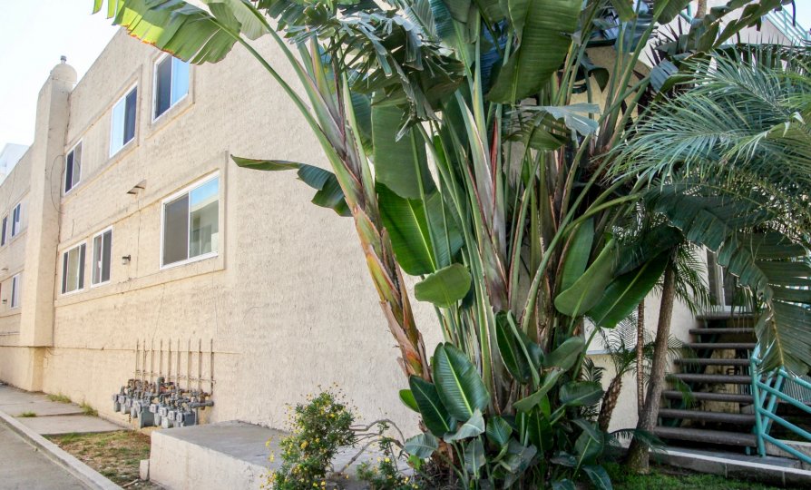 Avon Towers Condos, Lofts & Townhomes For Sale | Avon Towers Real ...