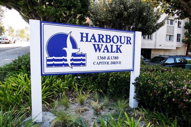 Harbour Walk Condos, Lofts & Townhomes For Sale | Harbour Walk Real ...