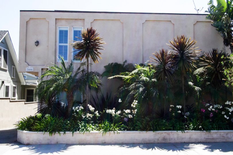 2444 4th Street Condos, Lofts & Townhomes For Sale | 2444 4th Street ...