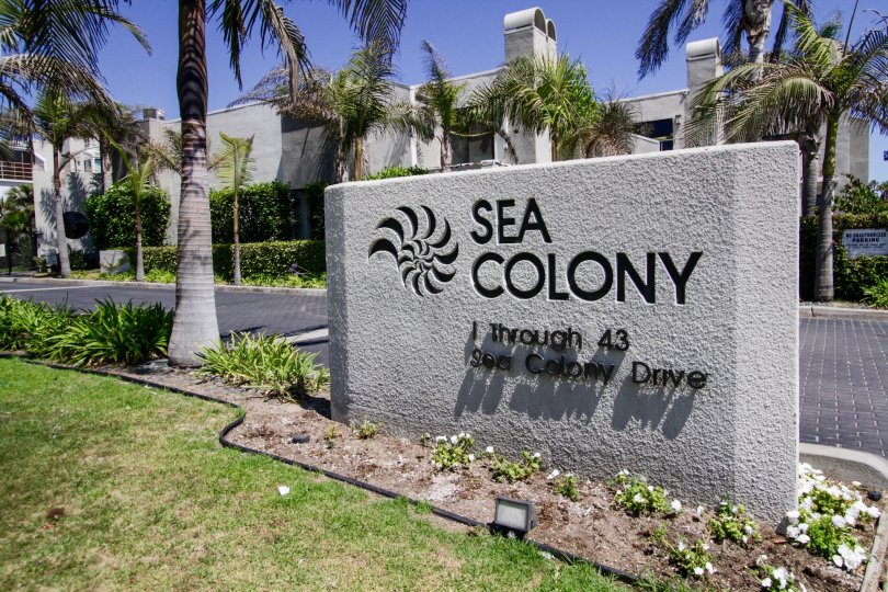 Sea Colony I Condos, Lofts & Townhomes For Sale | Sea Colony I Real ...