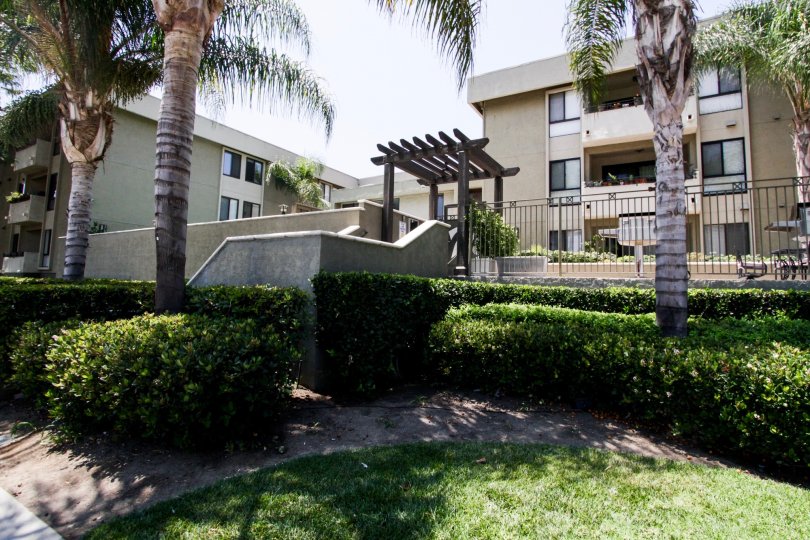 Addison Place Condos, Lofts & Townhomes For Sale | Addison Place Real ...