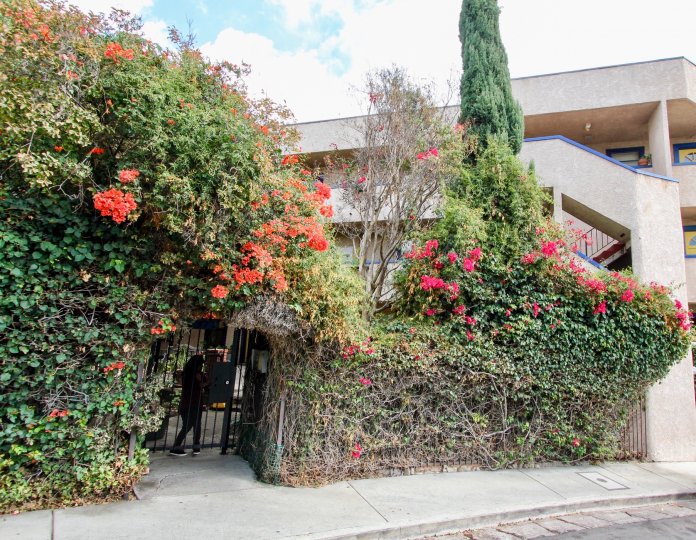 City View Condos, Lofts & Townhomes For Sale | City View Real Estate ...