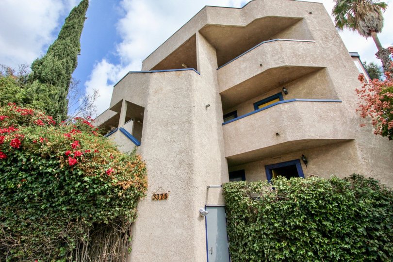City View Condos, Lofts & Townhomes For Sale | City View Real Estate ...