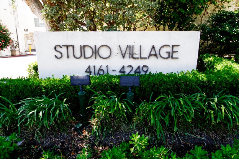 Studio Village Condos, Lofts & Townhomes For Sale | Studio Village Real ...