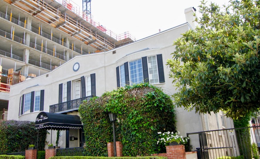 The Regency House Condos, Lofts & Townhomes For Sale | The Regency ...