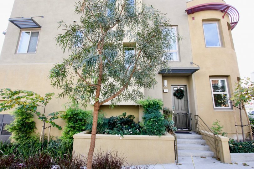 City Walk Condos, Lofts & Townhomes For Sale | City Walk Real Estate ...