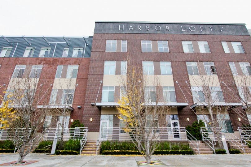 Harbor Lofts Condos, Lofts & Townhomes For Sale | Harbor Lofts Real ...