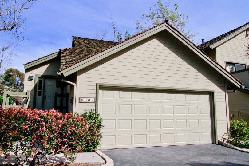 Seabluff Canyon Condos, Lofts & Townhomes For Sale | Seabluff Canyon ...