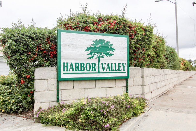 Harbor Valley Condos, Lofts & Townhomes For Sale | Harbor Valley Real ...
