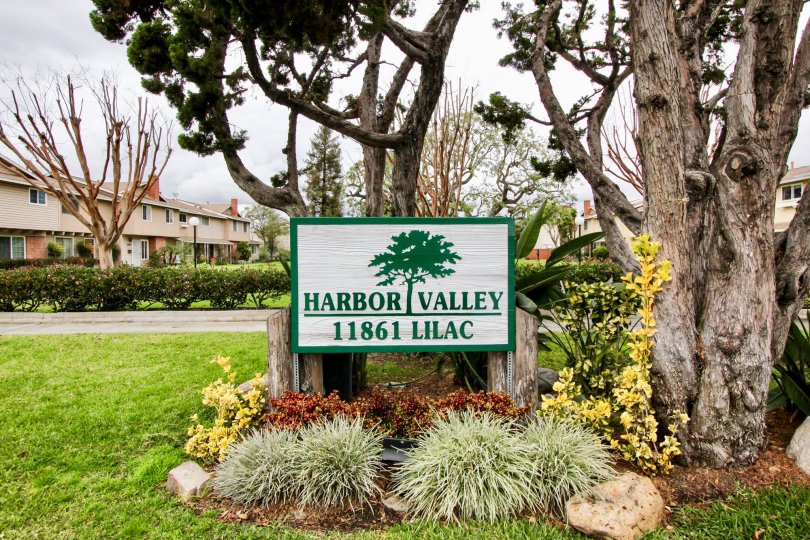 Harbor Valley Condos, Lofts & Townhomes For Sale | Harbor Valley Real ...