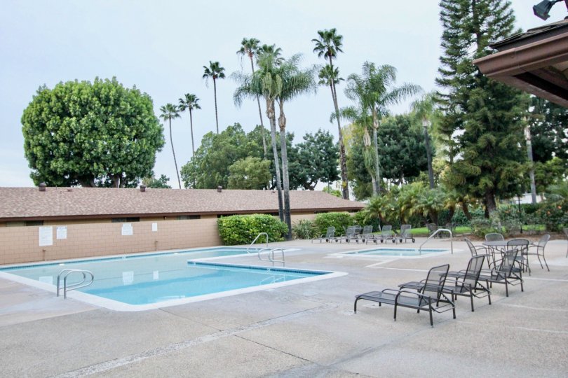 Coco Palms Condos, Lofts & Townhomes For Sale | Coco Palms Real Estate ...