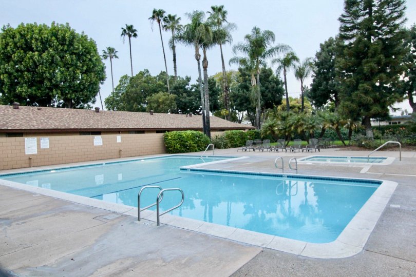 Coco Palms Condos, Lofts & Townhomes For Sale | Coco Palms Real Estate ...