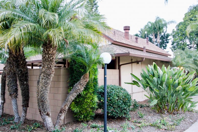 Coco Palms Condos, Lofts & Townhomes For Sale | Coco Palms Real Estate ...