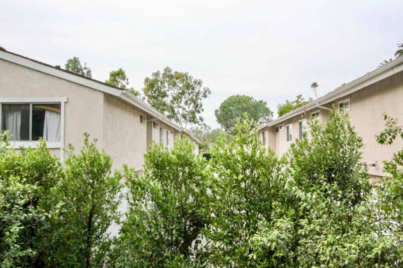 Green Tree Condos, Lofts & Townhomes For Sale | Green Tree Real Estate ...