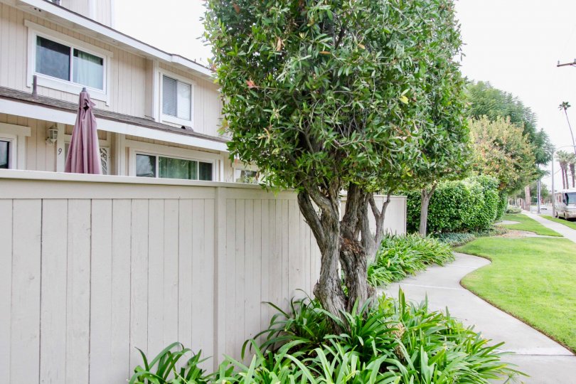 Green Tree Condos, Lofts & Townhomes For Sale | Green Tree Real Estate ...