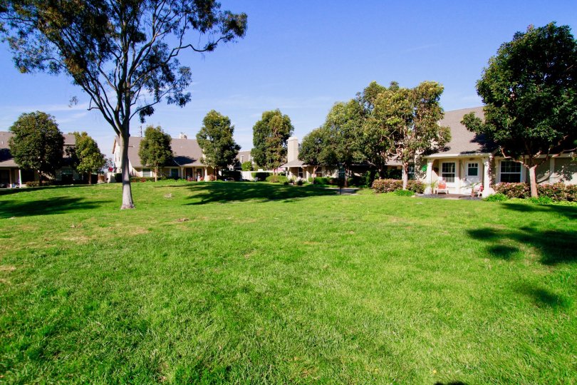 Gables Condos, Lofts & Townhomes For Sale | Gables Real Estate | Gables ...