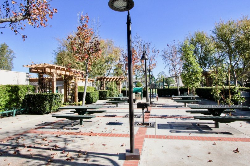 Columbia Square Condos, Lofts & Townhomes For Sale | Columbia Square ...