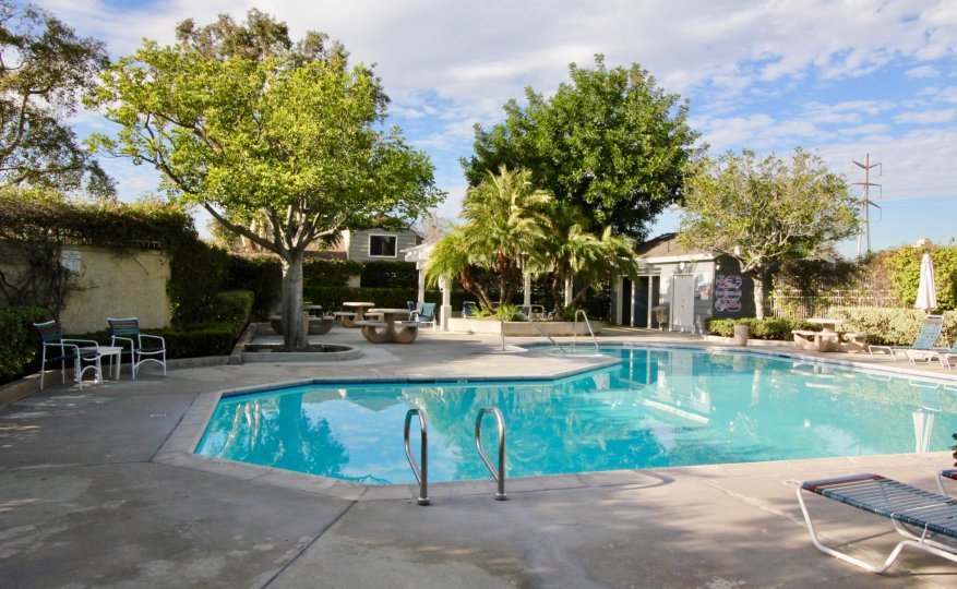 Windwood Garden Homes Condos, Lofts & Townhomes For Sale | Windwood ...