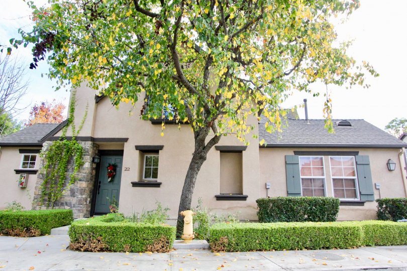 Three Vines Condos, Lofts & Townhomes For Sale | Three Vines Real ...