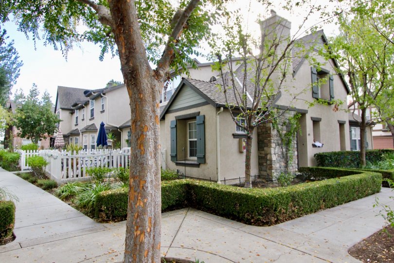 Three Vines Condos, Lofts & Townhomes For Sale | Three Vines Real ...